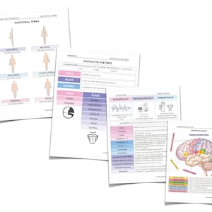 SLP Praxis Study Guide - Etsy