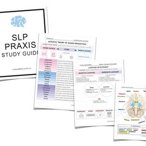 SLP Praxis Study Guide - Etsy