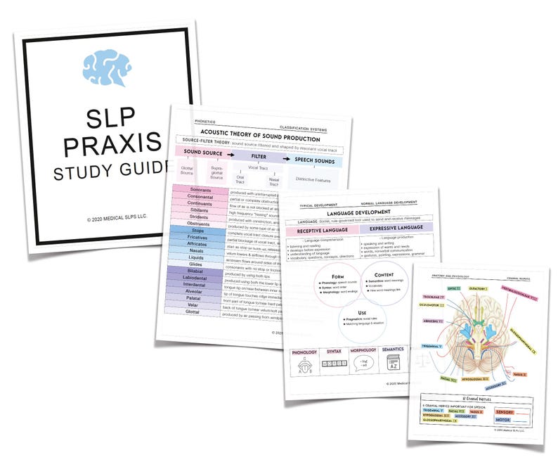 SLP Praxis Study Guide - Etsy