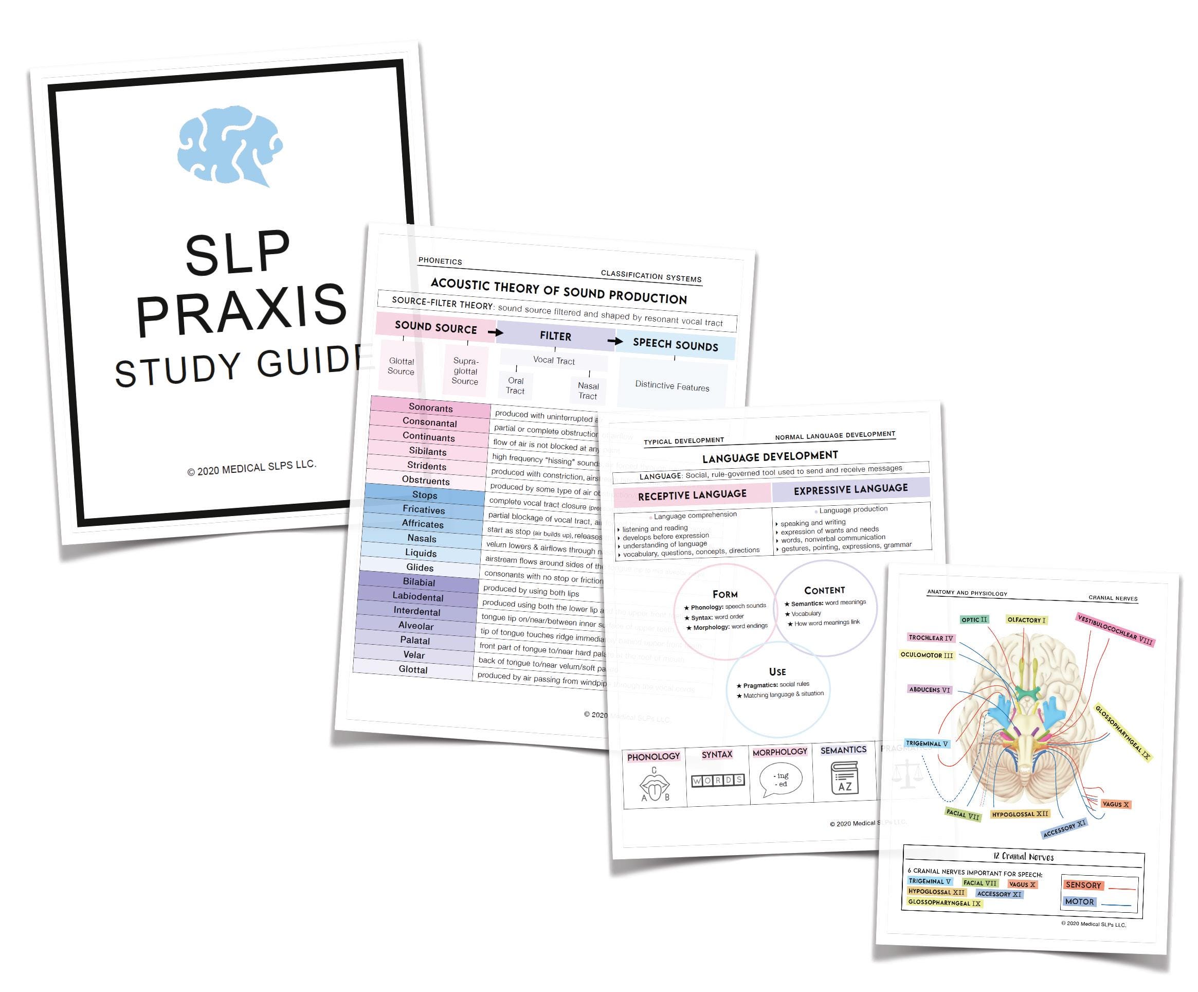 SLP Praxis Study Guide - Etsy