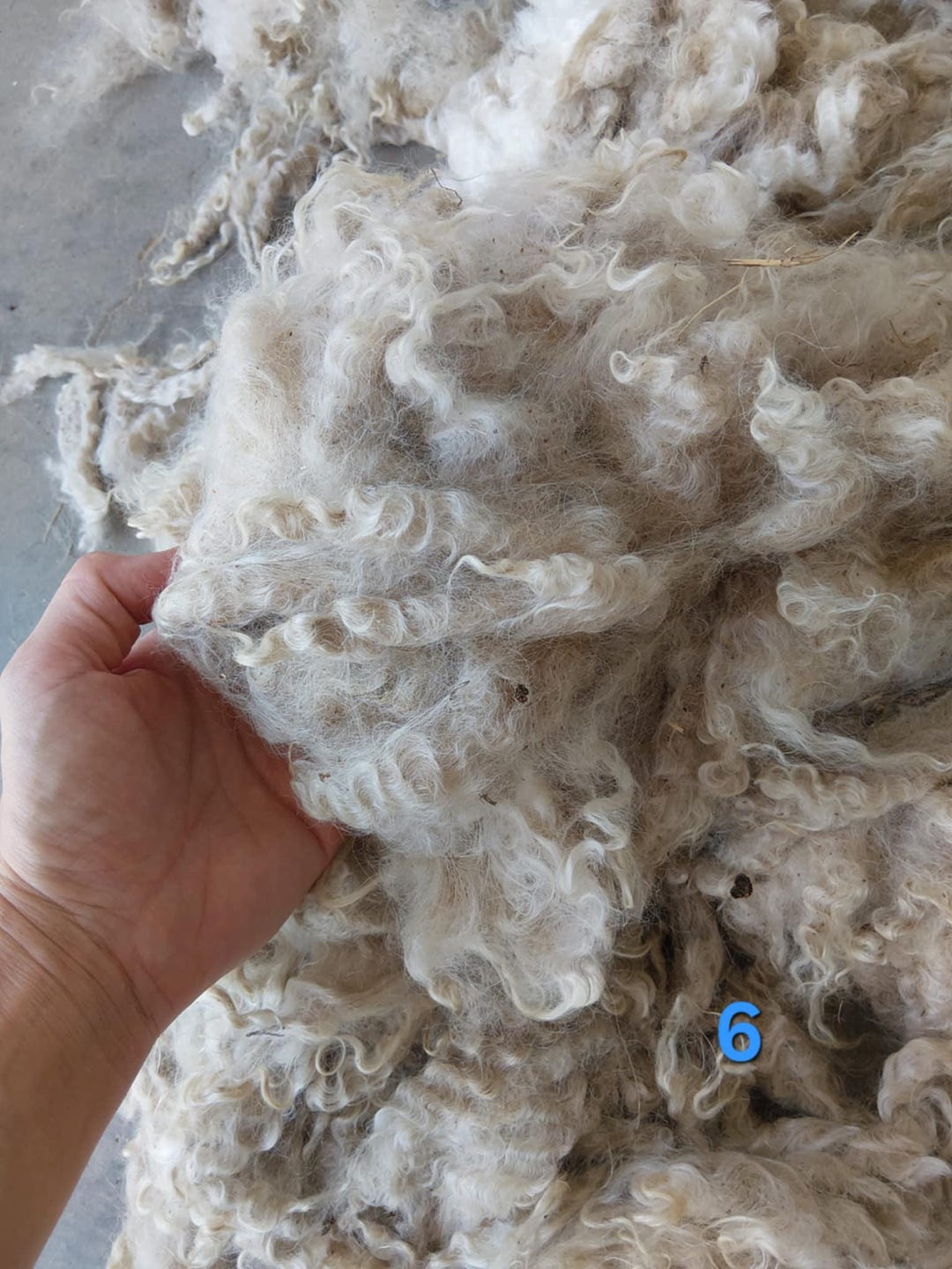 Raw Adult Mohair Fiber, White and Fluffy - Etsy