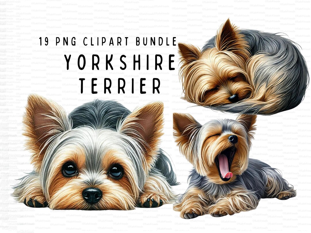 Yorkshire Terrier Watercolor Clipart Bundle: 19 Pngs, Commercial Use ...