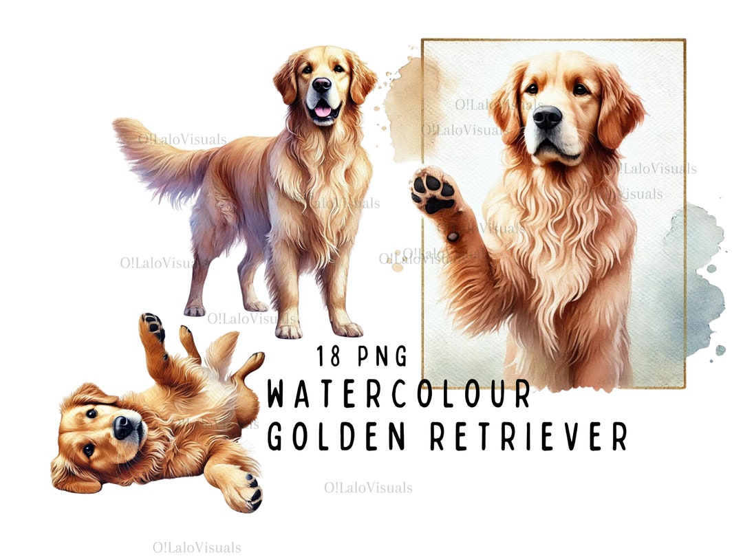 Golden Retriever Clipart Bundle | 10 High-quality PNG Files | Digital ...