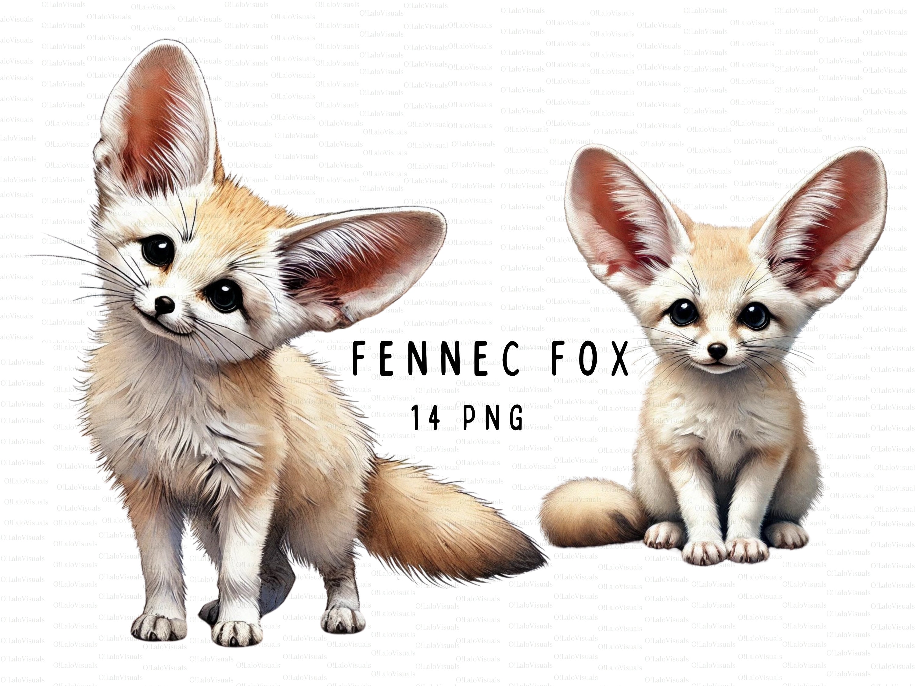 Watercolor Fennec Fox Clipart Bundle 14 High-quality PNG Files, Digital ...