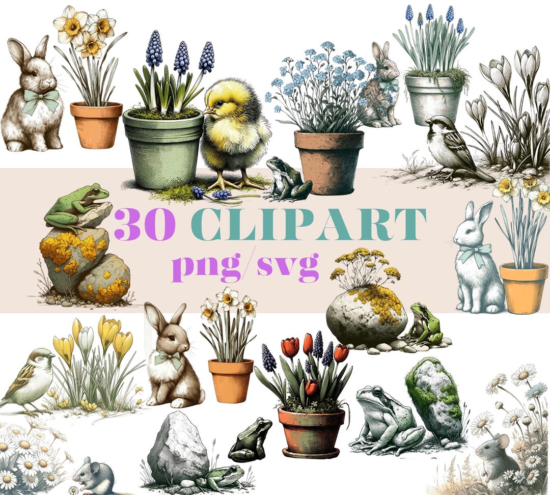 Spring Clip Art Flowers Birds Frogs Bunnies and Chickens Bundle ...