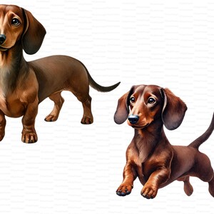 Dachshund Clipart Bundle: Watercolor Style PNG Files (digital Download ...