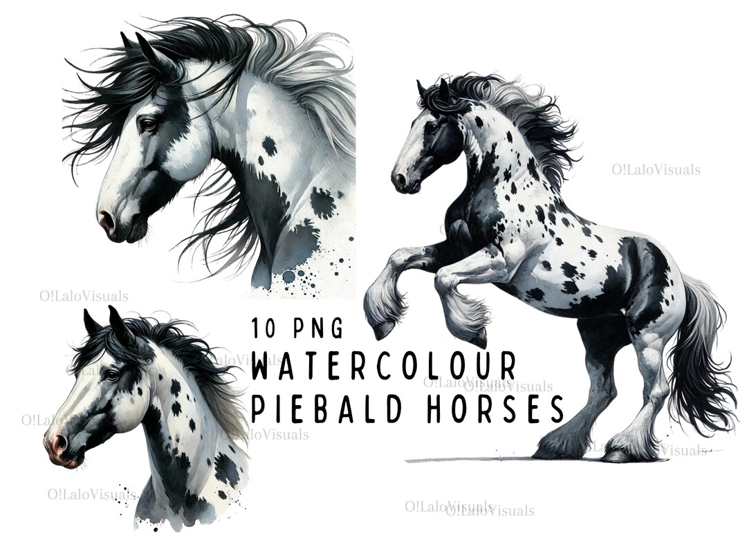 Piebald Horse Cliparts High Quality Pngs Animal Clipart Nursery Art ...