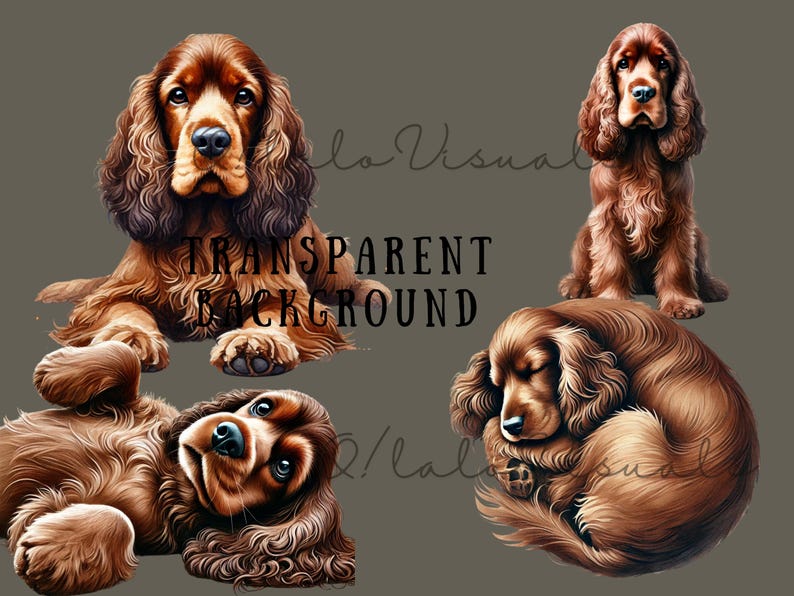 English Cocker Spaniel Clipart | 15 High-quality PNG Files | Digital Planner, Junk Journal ...
