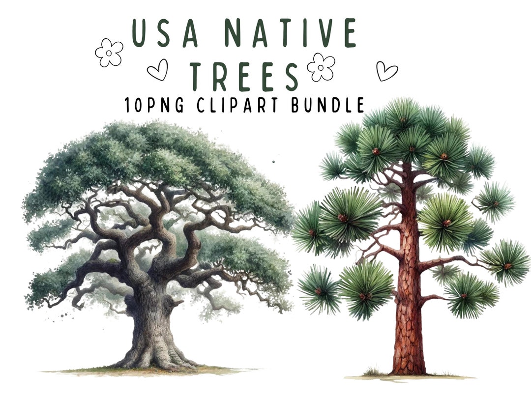 Set of 10 Watercolor Forest Tree Clipart, Pine Tree Png, Woodland Tree ...