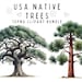 Watercolor Forest Tree Clipart: USA Native Trees (digital PNG) - Etsy