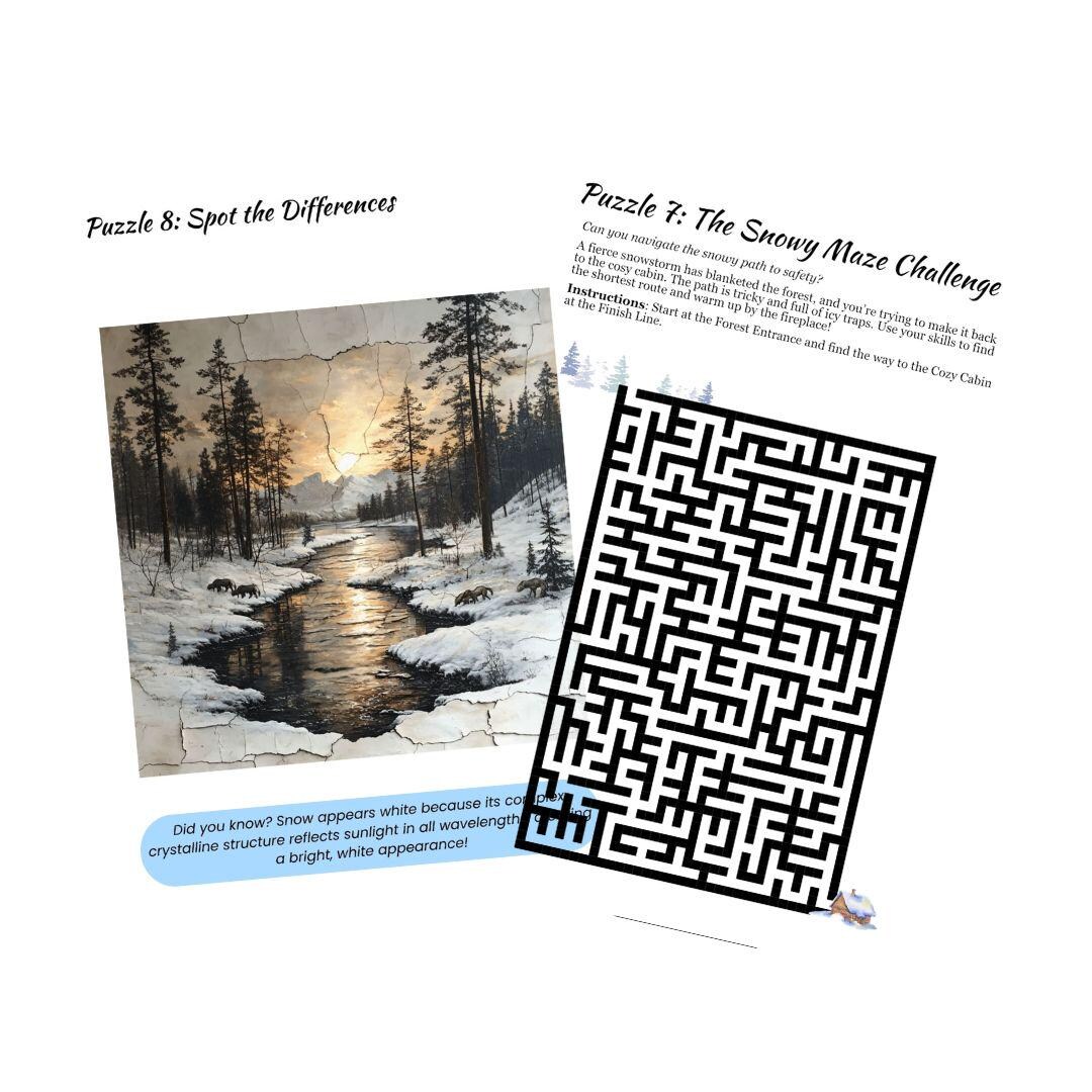 The Puzzle Path: Frosty Fun Winter Puzzle Book - Word Searches, Riddles ...