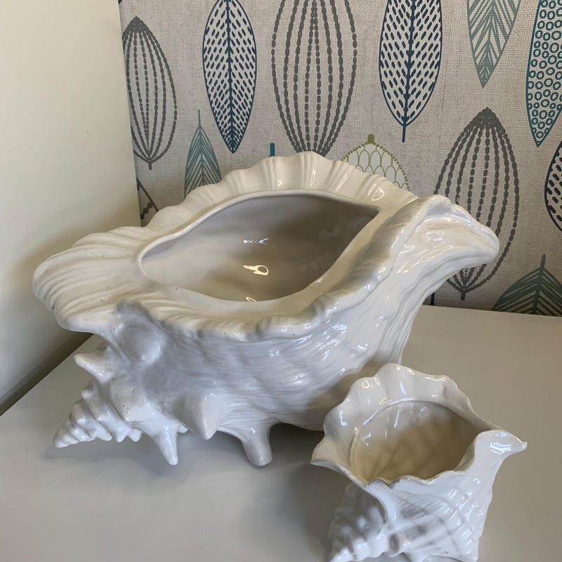 Conch Shell Planter - Etsy