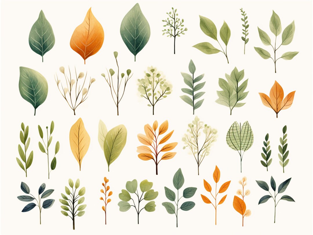 Nature's Beauty: Captivating Leaf PNG Images for Natural Inspirations ...