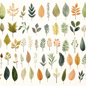 Nature's Beauty: Captivating Leaf PNG Images for Natural Inspirations ...