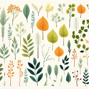 Nature's Beauty: Captivating Leaf PNG Images for Natural Inspirations ...