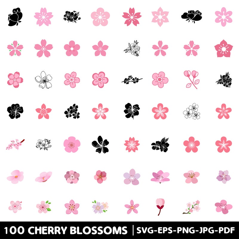 Svg Cherry Blossom - Etsy
