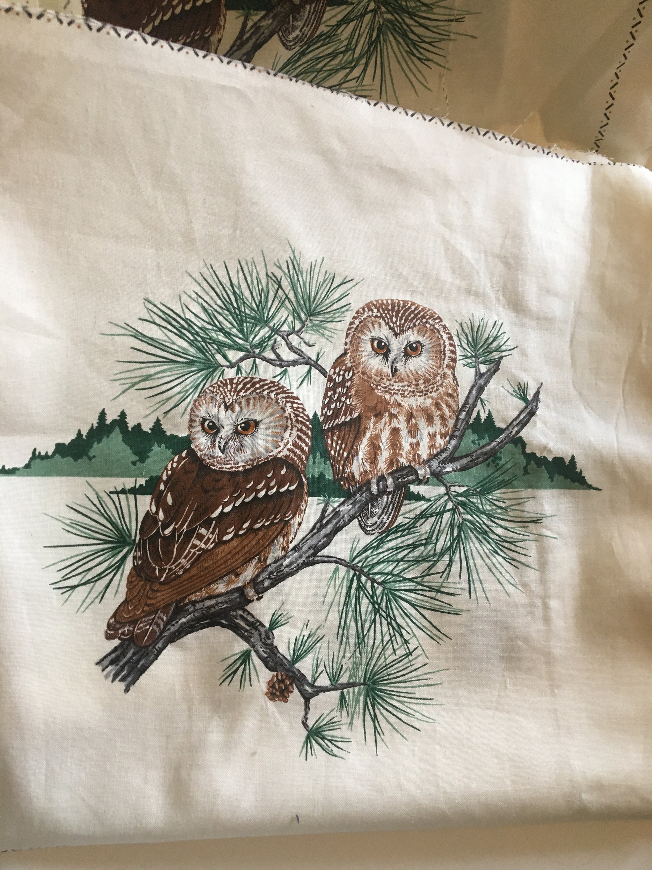 Vintage Owl Fabric Panels for Applique Pillows, Crafting: 4.8 Yards ...
