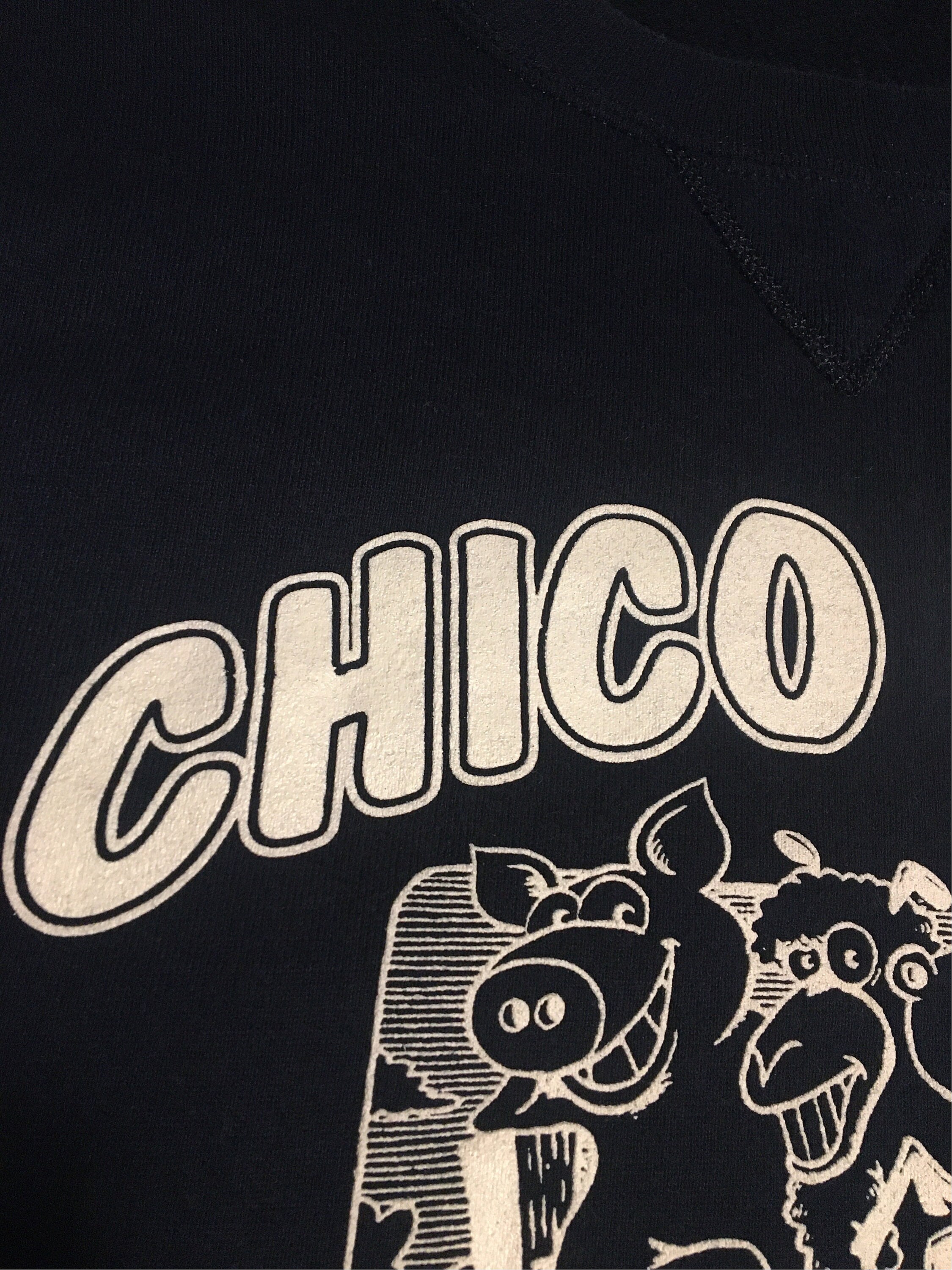 Vintage 90s Chico State Agriculture XXL College Sweatshirt Russell Made ...