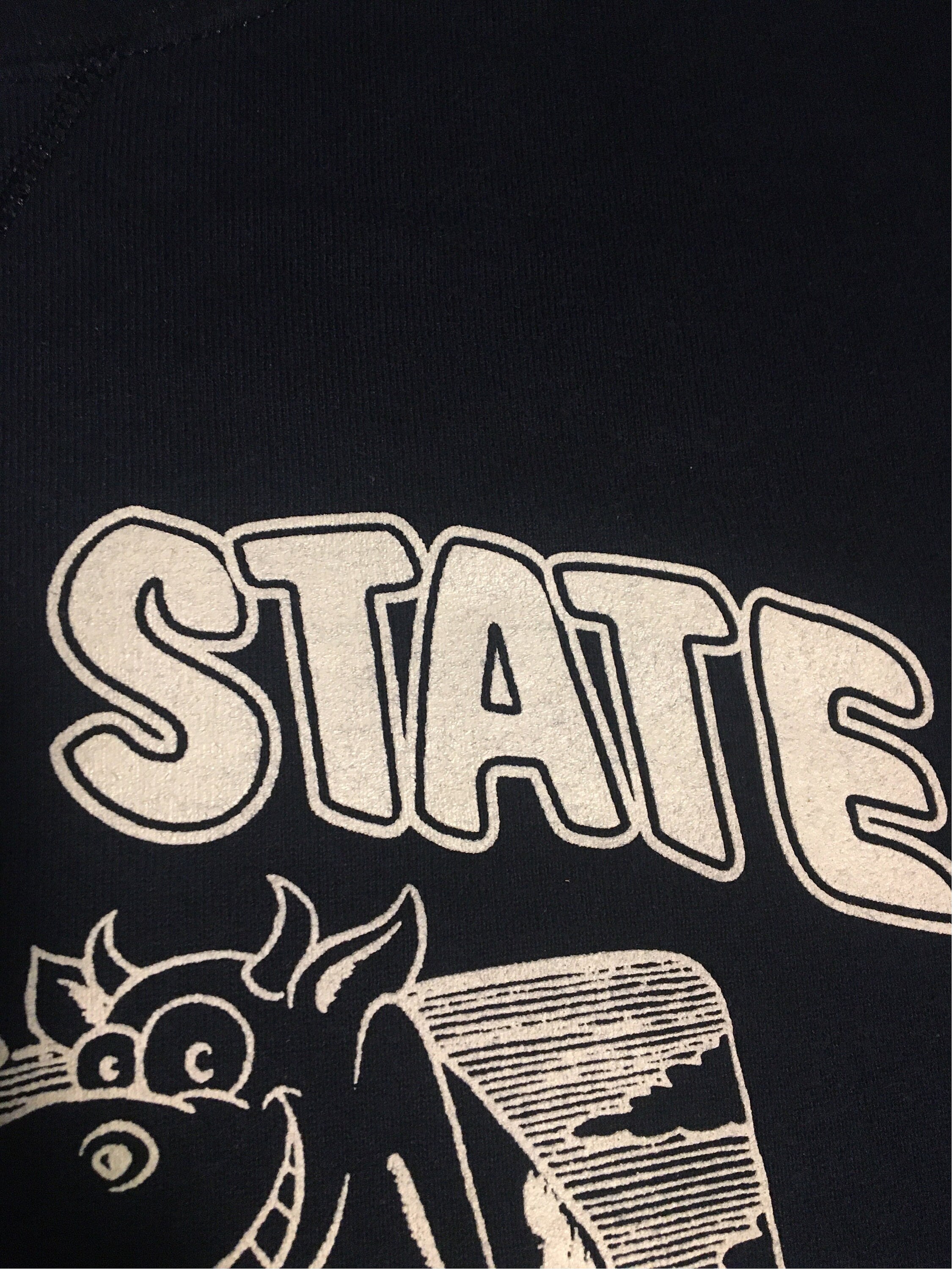 Vintage 90s Chico State Agriculture XXL College Sweatshirt Russell Made ...