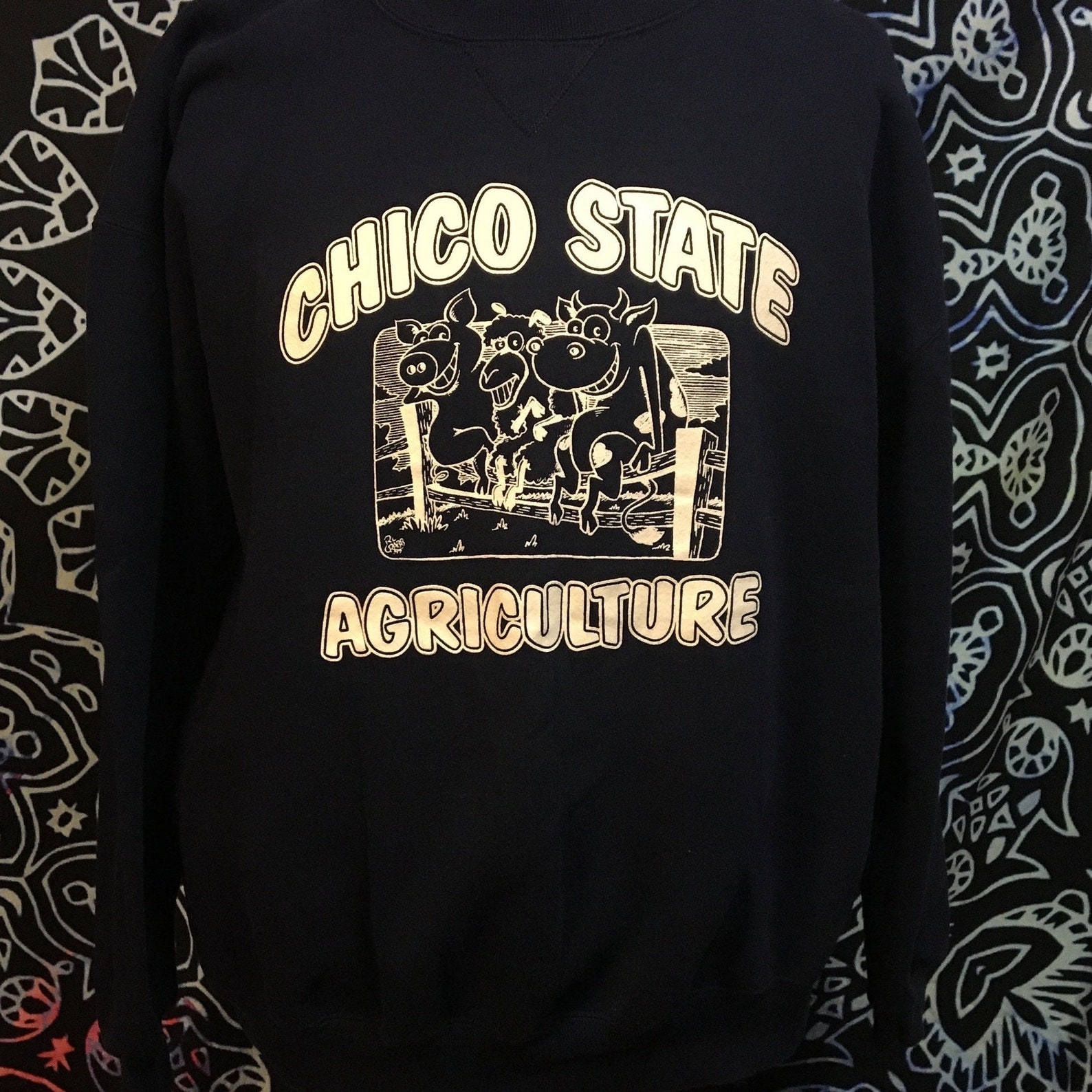 Vintage 90s Chico State Agriculture XXL College Sweatshirt Russell Made ...