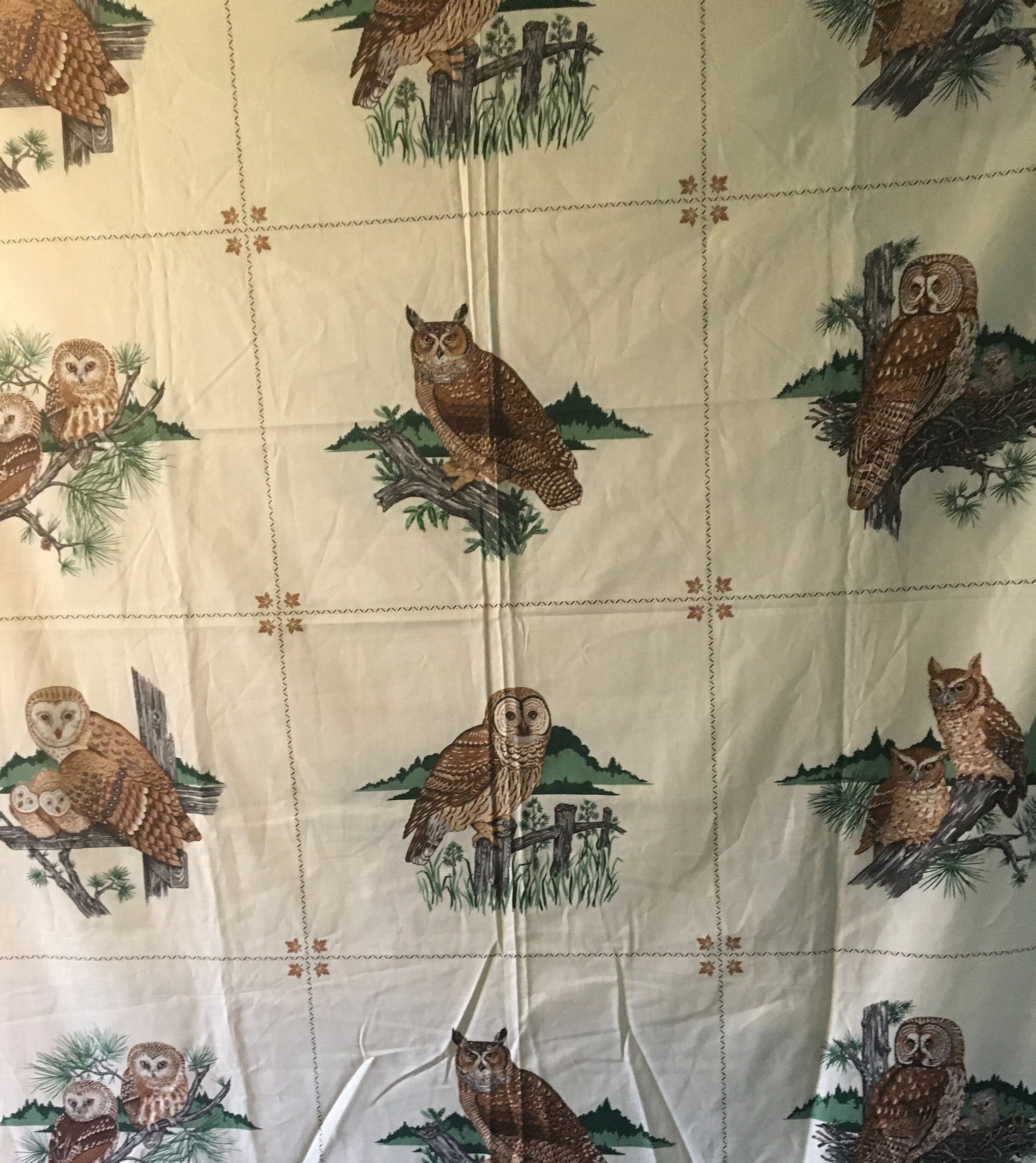 Vintage Owl Fabric Panels for Applique Pillows, Crafting: 4.8 Yards ...