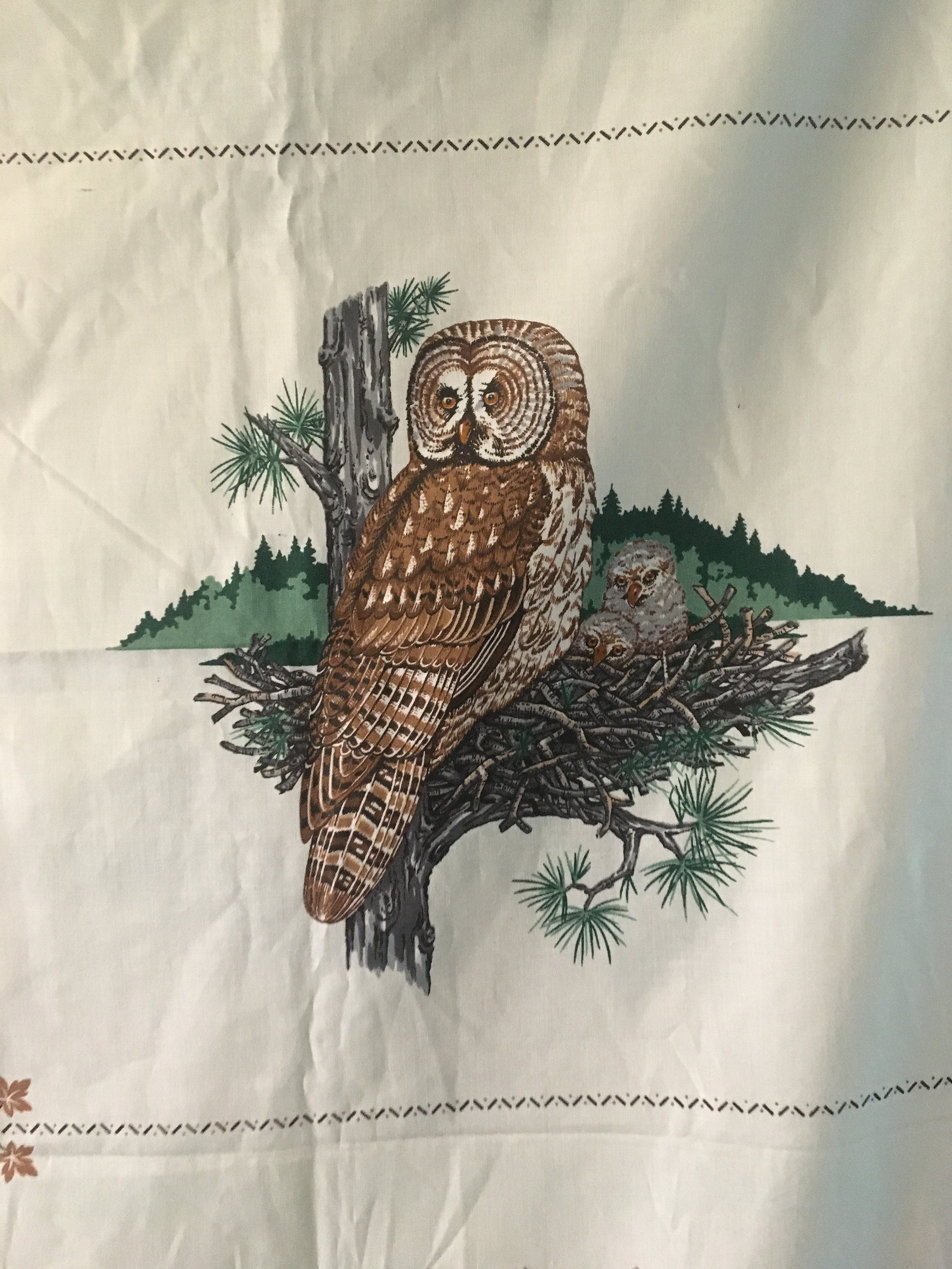 Vintage Owl Fabric Panels for Applique Pillows, Crafting: 4.8 Yards ...