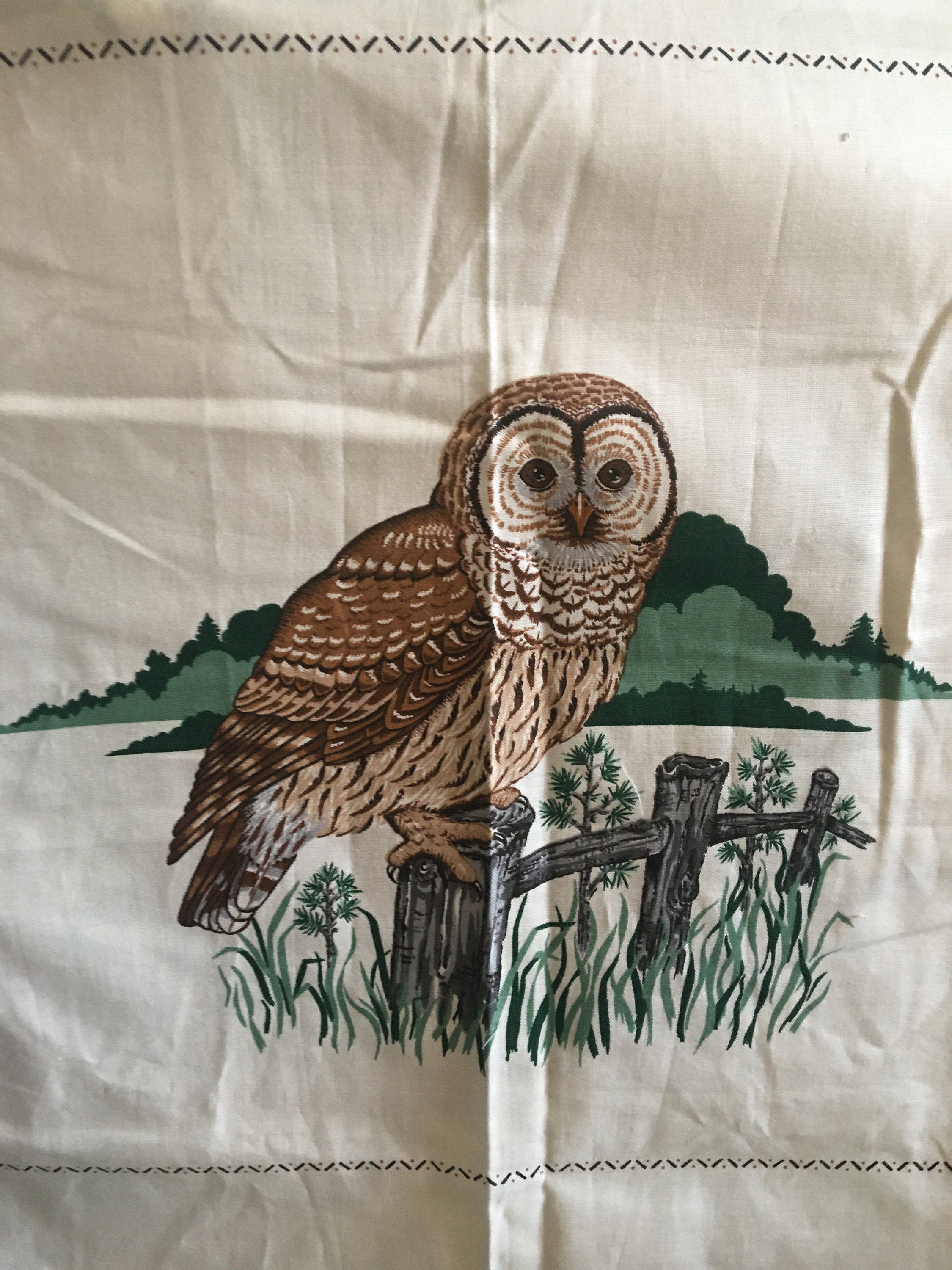 Vintage Owl Fabric Panels for Applique Pillows, Crafting: 4.8 Yards ...