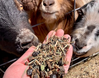 Goat Manure, 1lb Fresh Goat Manure, Fertilizer, All Natural Fertilizer ...