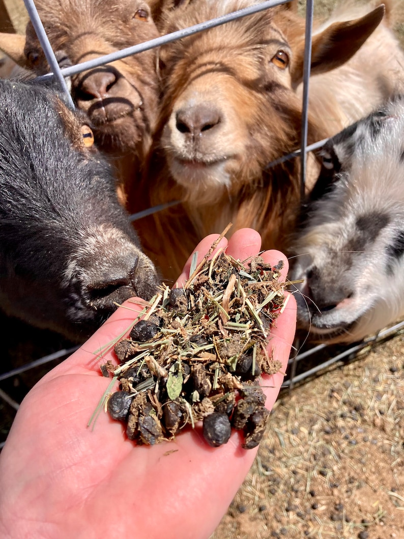 Goat Manure Fertilizer 1lb Bag - Etsy