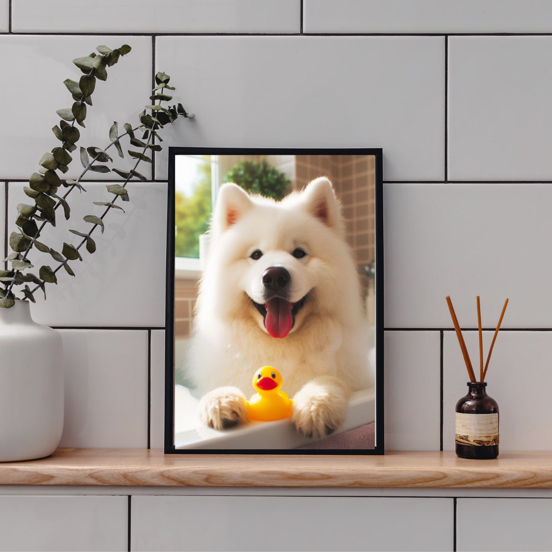 Samoyed in the Bath With Rubber Duck, Cute, Having Fun, Dog Gift Cute ...
