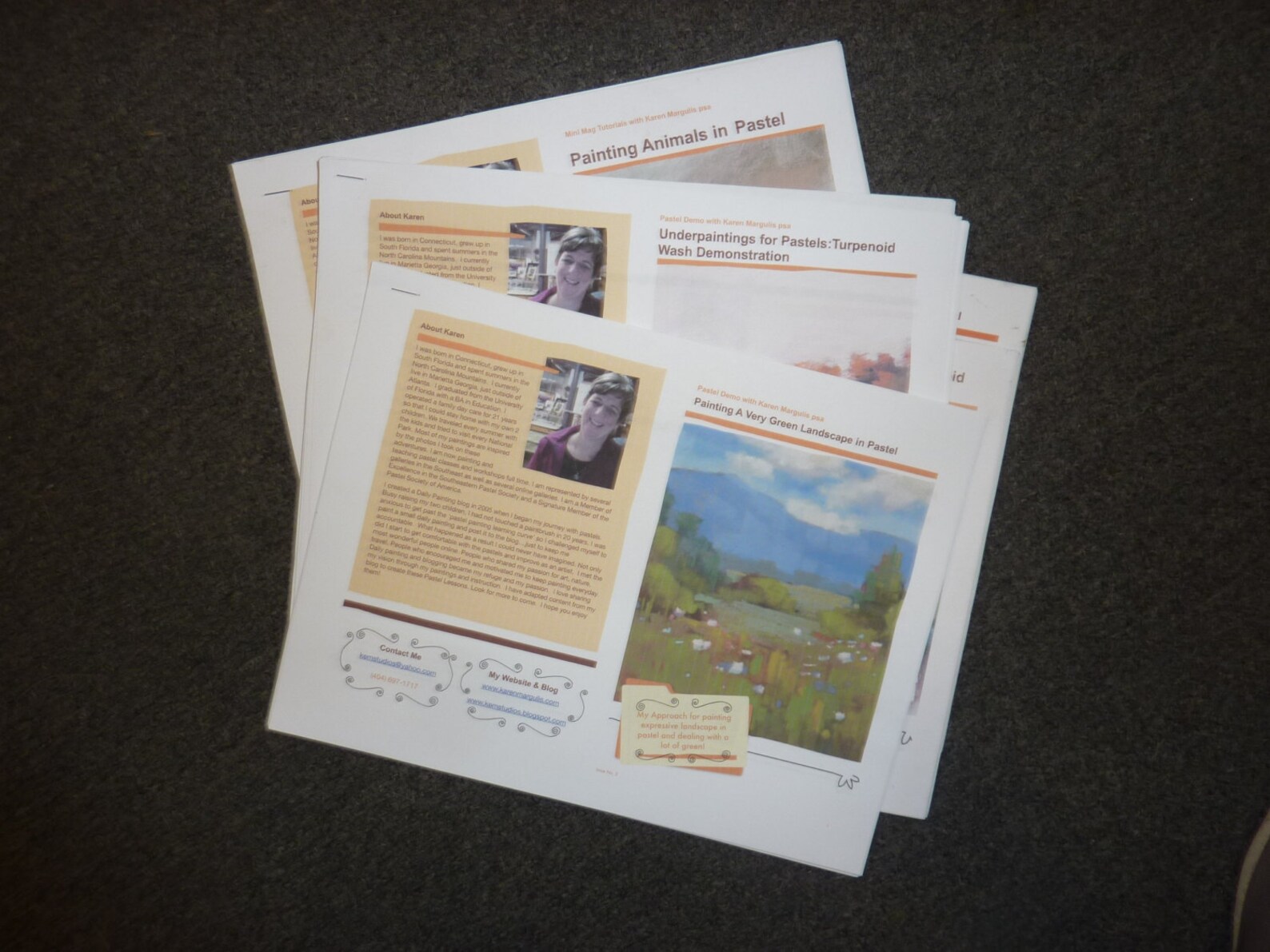 Set of 5 Pastel Painting Lesson Demo Art Tutorial PDF Booklet Karen ...