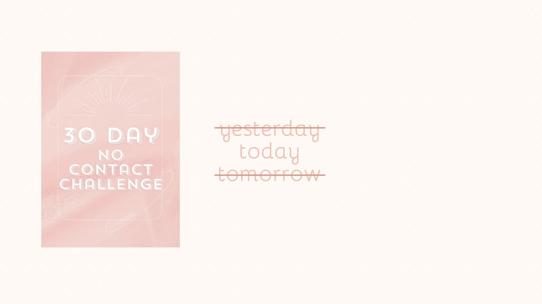 30 Day No Contact Challenge Daily Planner - Etsy