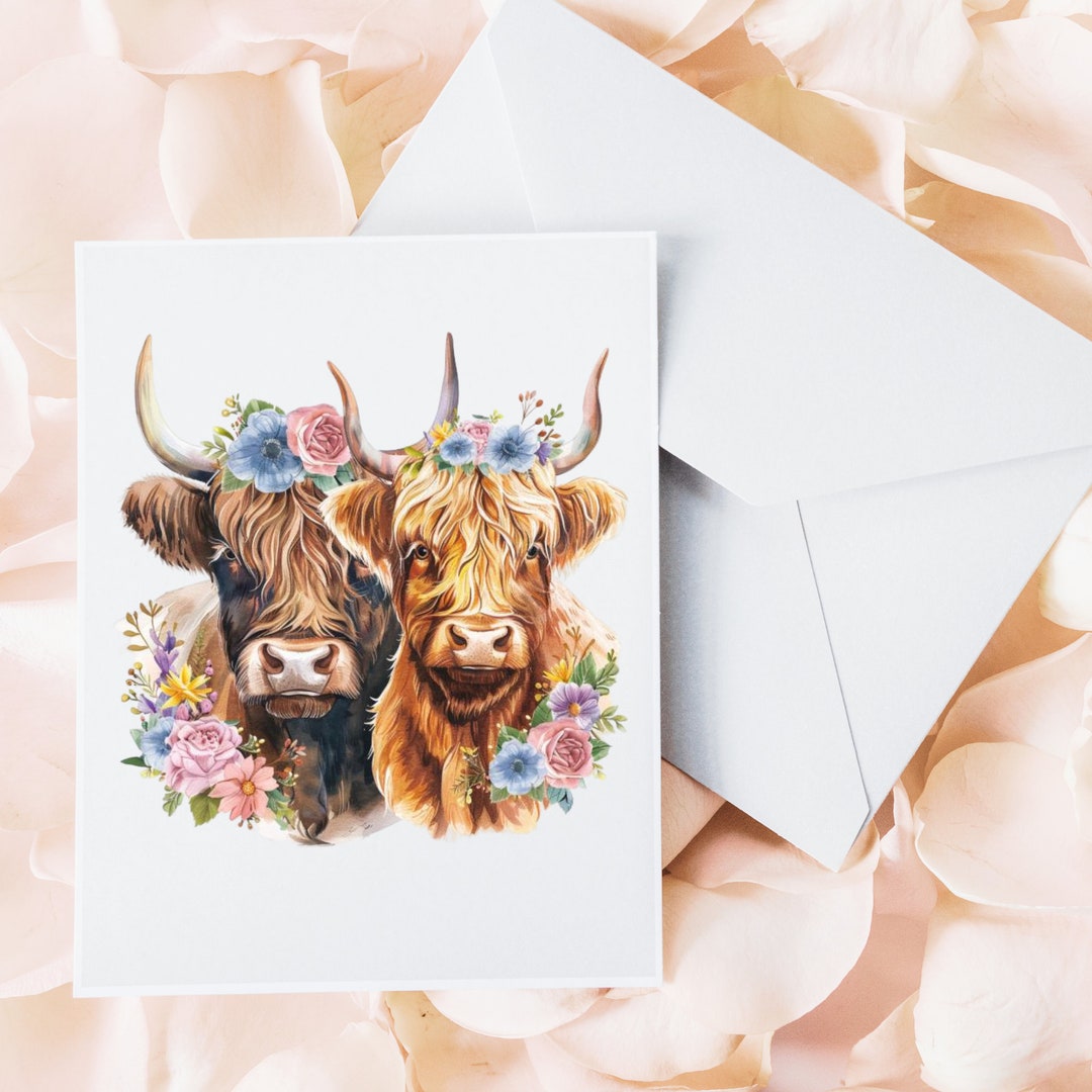 Highland Cow Pack of 10 Greetings Cards With Envelopes. Any Occasion ...