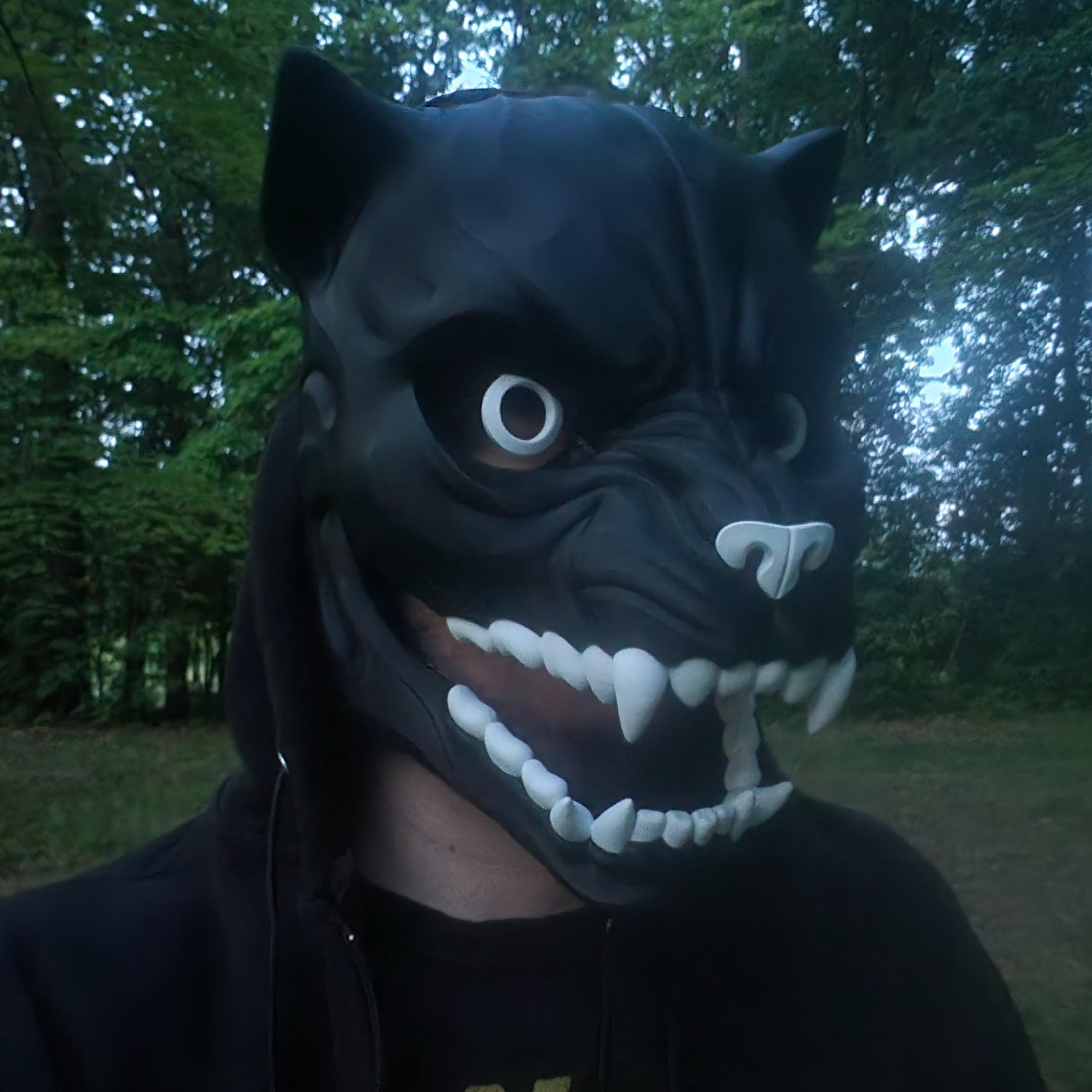 3D Printed Panther / Wolf Articulating Mask - Etsy