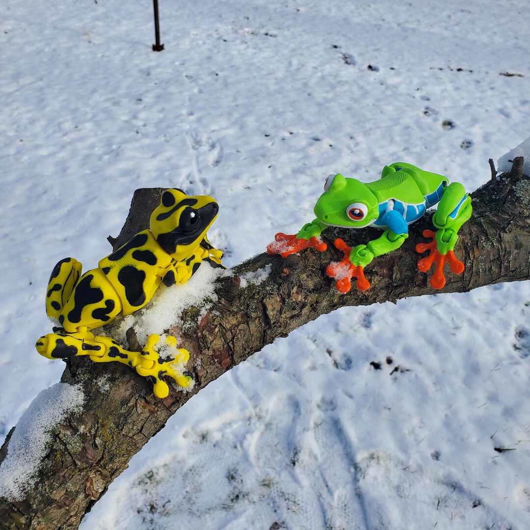 3D Printed Articulating Froggy Pets - Etsy