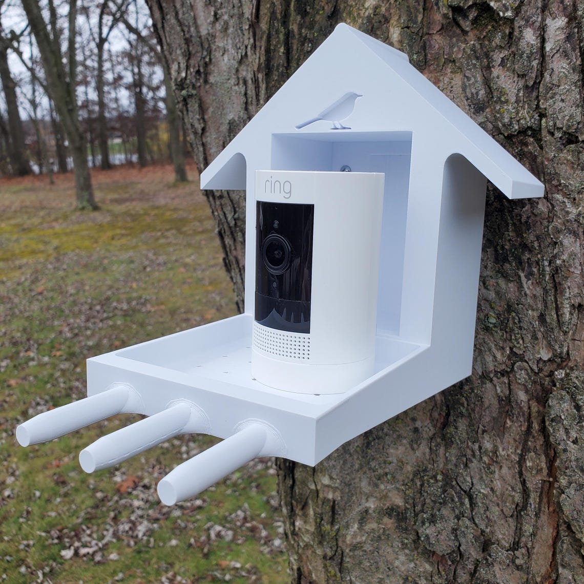 3D Printed Ring Camera Bird Feeder - Etsy