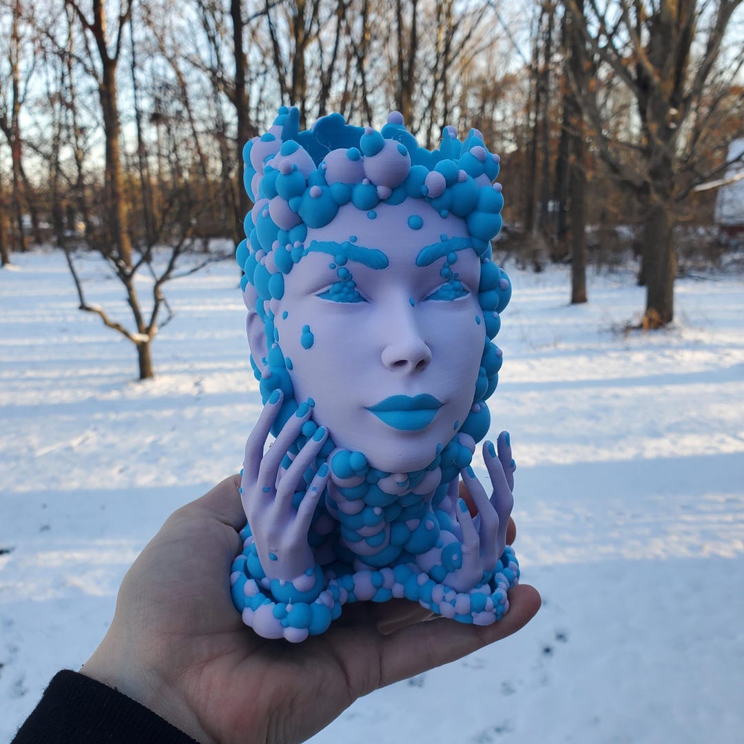 3D Printed 2 Color Multi Color Bubble Woman Planter With Drip Tray - Etsy