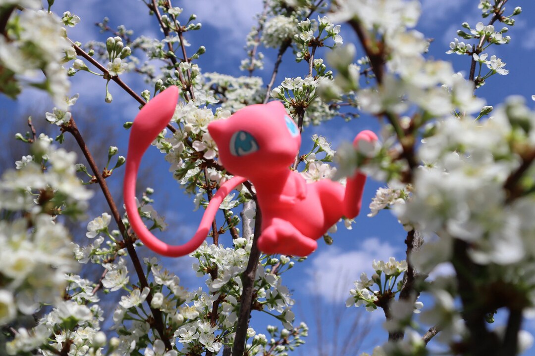 3D Printed 3 Color Mew From Pokémon - Etsy