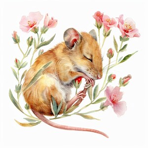 Watercolor Sleeping Mouse Clipart: Baby Mouse in Flower (JPG Digital ...