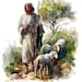 24 Paquete de imágenes prediseñadas de Jesús pastoreando ovejas, Jesús ...