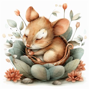 Watercolor Mouse Sleeping in Flower Clipart: Baby Nursery Art (JPG ...
