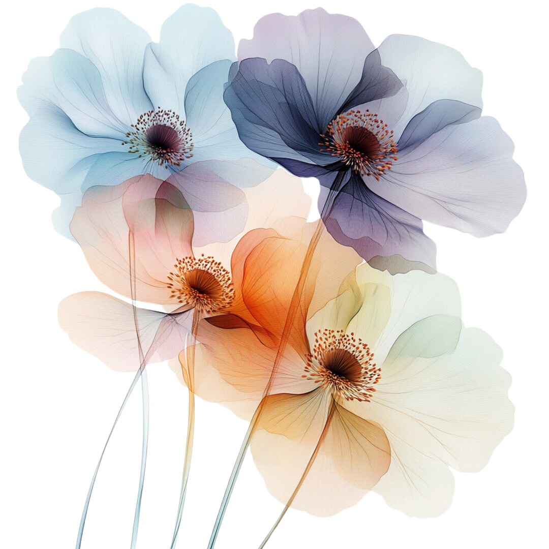 Abstract Watercolor Flower Clipart: Transparent PNG Set (digital ...