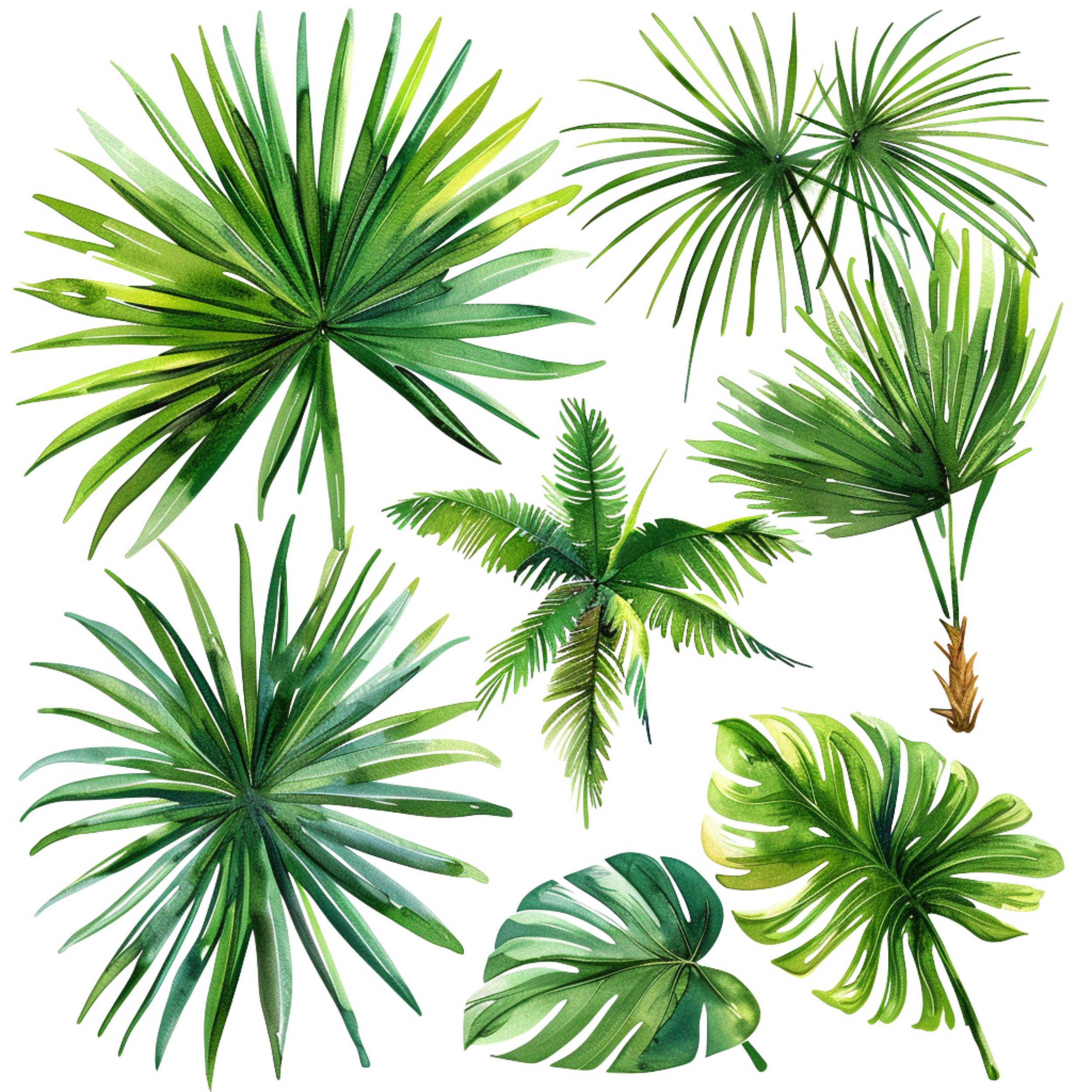38 PALM LEAVES CLIPARTS, Png Watercolor Leaves, Palm Leaves Design ...