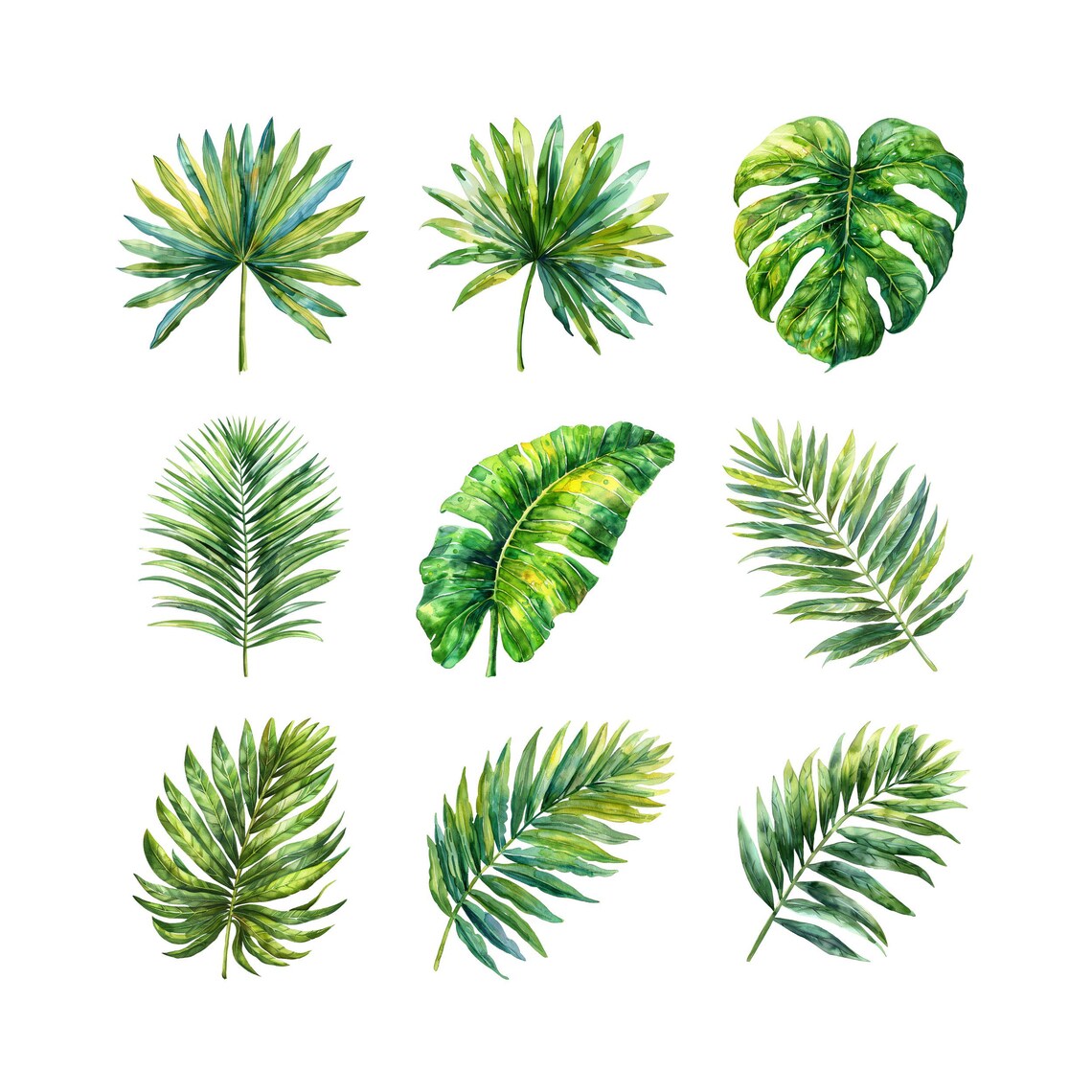38 PALM LEAVES CLIPARTS, Png Watercolor Leaves, Palm Leaves Design ...