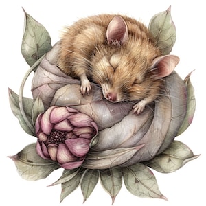 Watercolor Mouse Sleeping in Flower Clipart: Baby Nursery Art (JPG ...