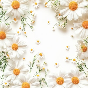 Daisy Frame Clipart: Watercolor Floral Borders (JPG Digital Art) - Etsy