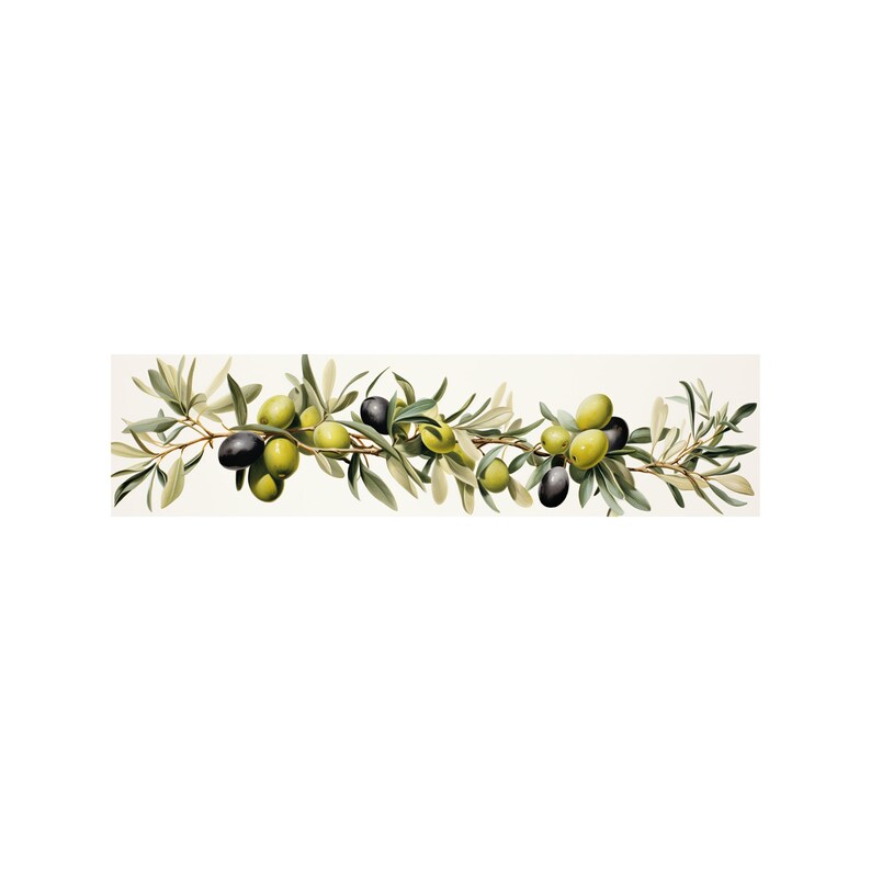 12 Olive Branch Border Clipart, Jpg, Olive Blanch Watercolor Clip Art ...