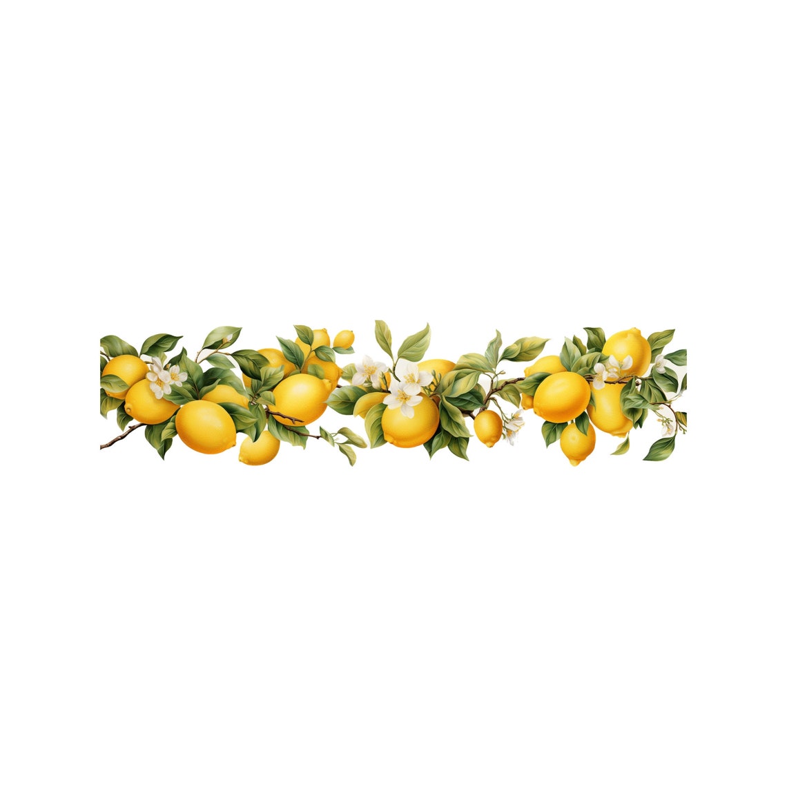 11 Lemon Branch Border Clipart, Lemon Flowers Watercolor Clip Art, High ...