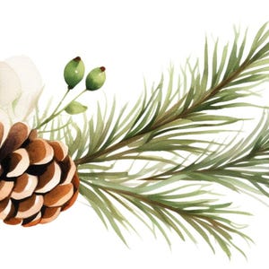 12 WINTER PINE CONES Digital Image, Christmas Pine Tree Branch, Winter ...
