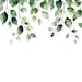 8 Watercolor Green Leaves Frame Clipart: Botanical Decor (PNG Digital ...